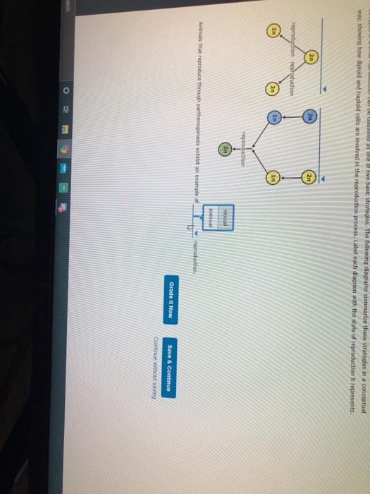 Solved 2 Digging Deeper: Conceptual Learning Activity Hack | Chegg.com