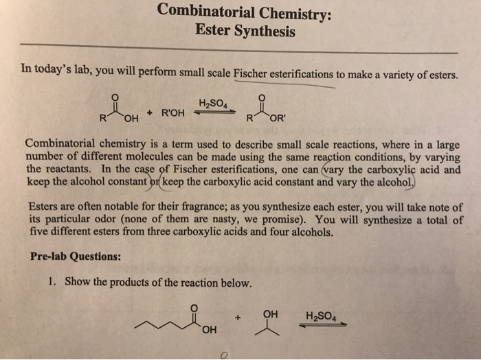 Solved Combinatorial Chemistry: Ester Synthesis In today's | Chegg.com