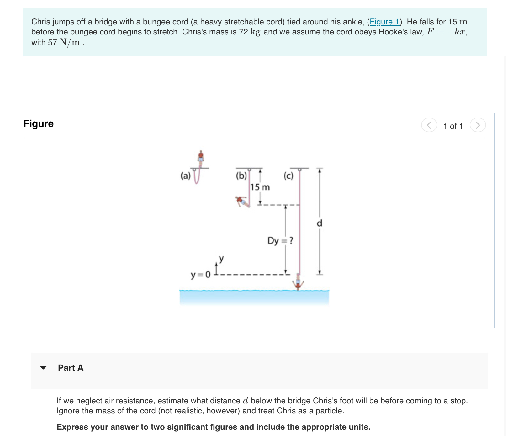 Solved Chris jumps off a bridge with a bungee cord (a heavy | Chegg.com
