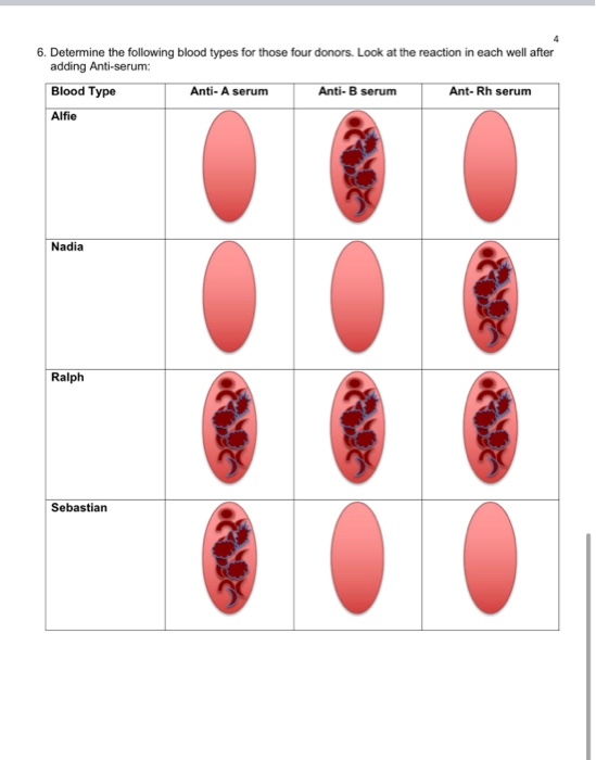 Solved .. T-Mobile 1:24 PM 45% Back 4-BLOOD.pdf Q Chapter 4 | Chegg.com