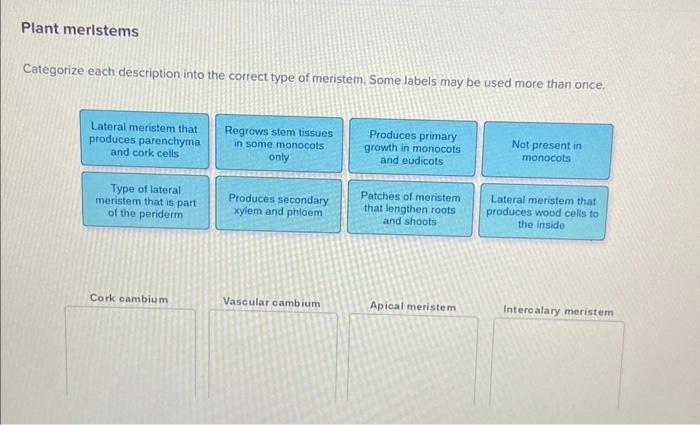 Solved Categorize each description into the correct type of | Chegg.com Solved Categorize each description into the correct type of | Chegg.com