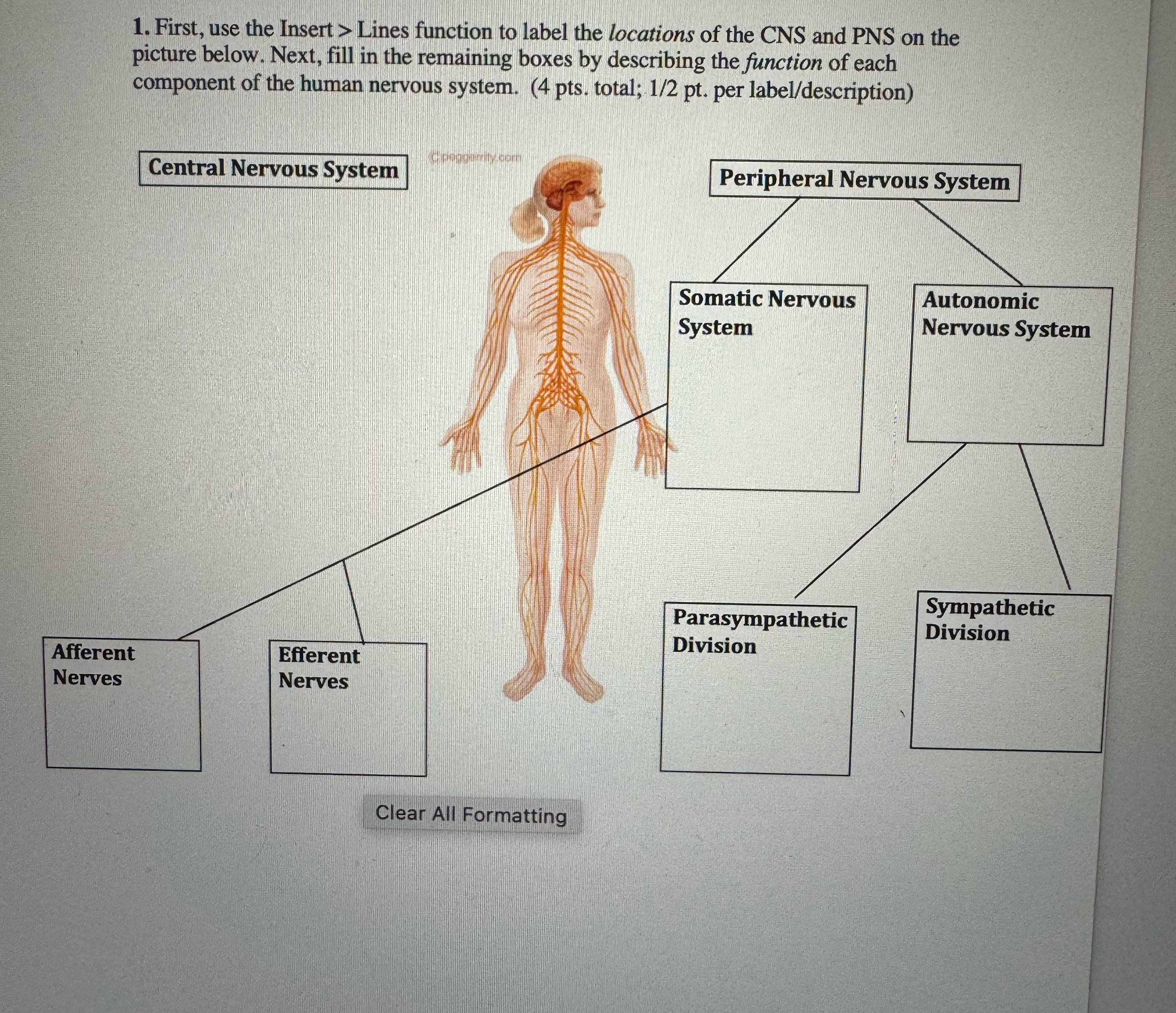 Solved Please fill this out | Chegg.com