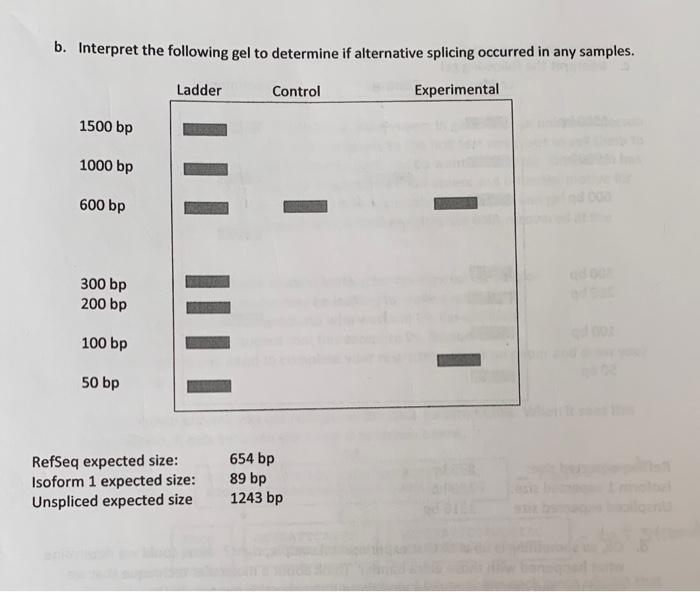 This is just like in genetics lab 2. We will call | Chegg.com