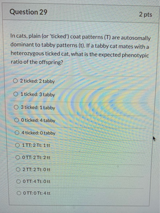 Solved Question 29 2 pts In cats, plain (or 'ticked') coat | Chegg.com