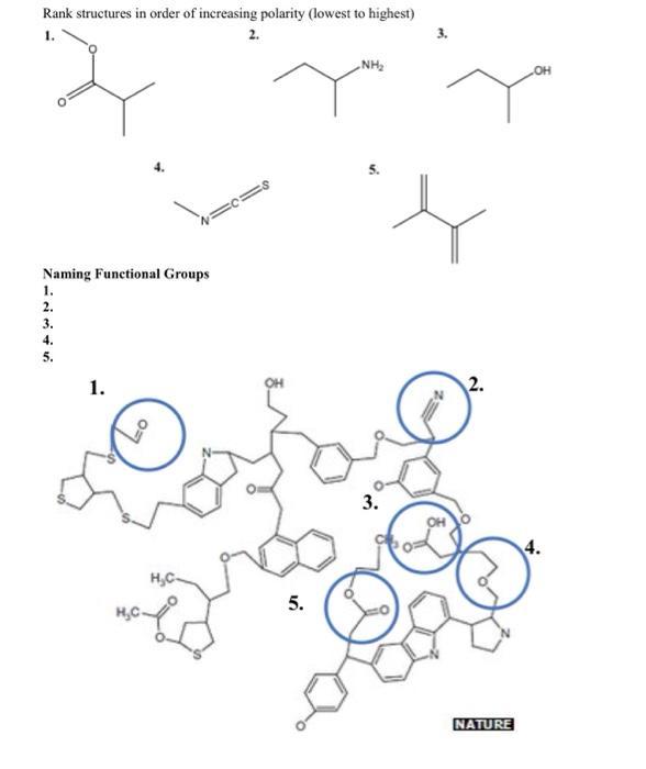Solved Rank structures in order of increasing polarity | Chegg.com