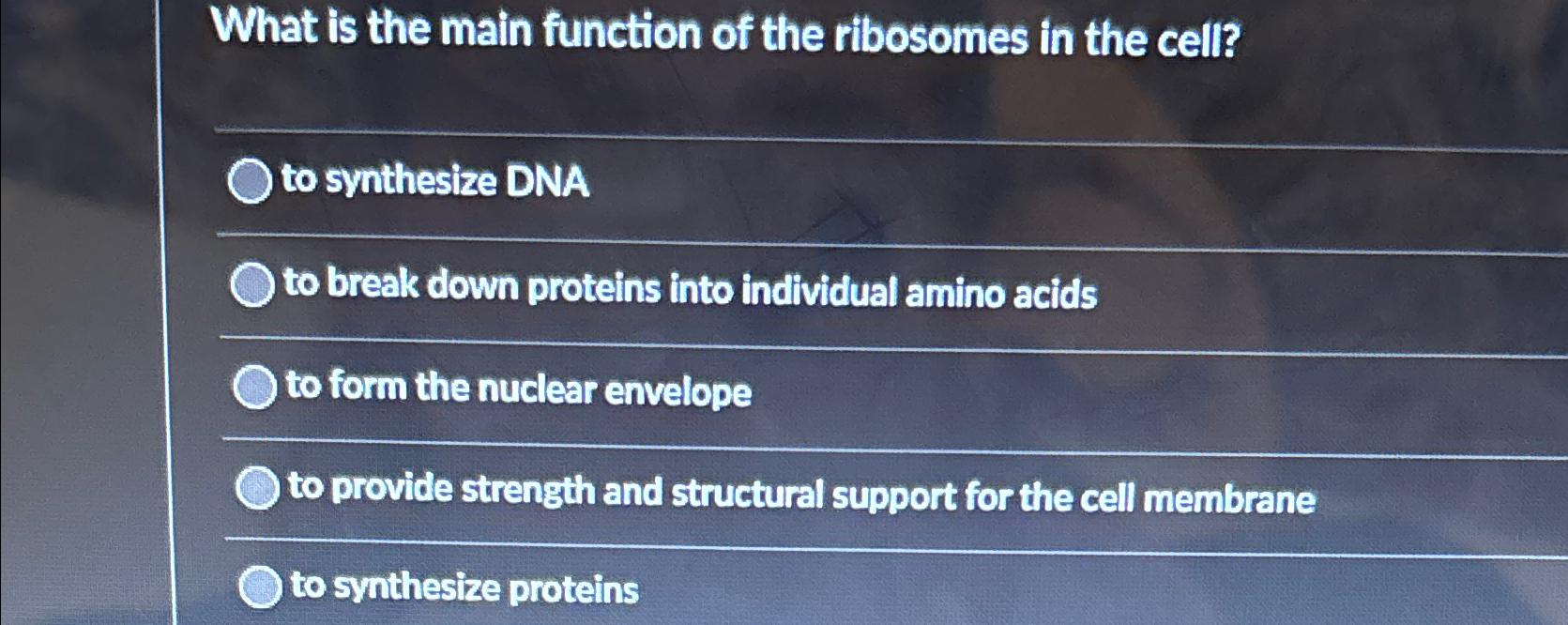 Solved What is the main function of the ribosomes in the | Chegg.com
