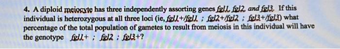 Solved 4. A diploid meiocyte has three independently | Chegg.com