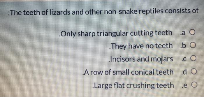 Solved :The teeth of lizards and other non-snake reptiles | Chegg.com