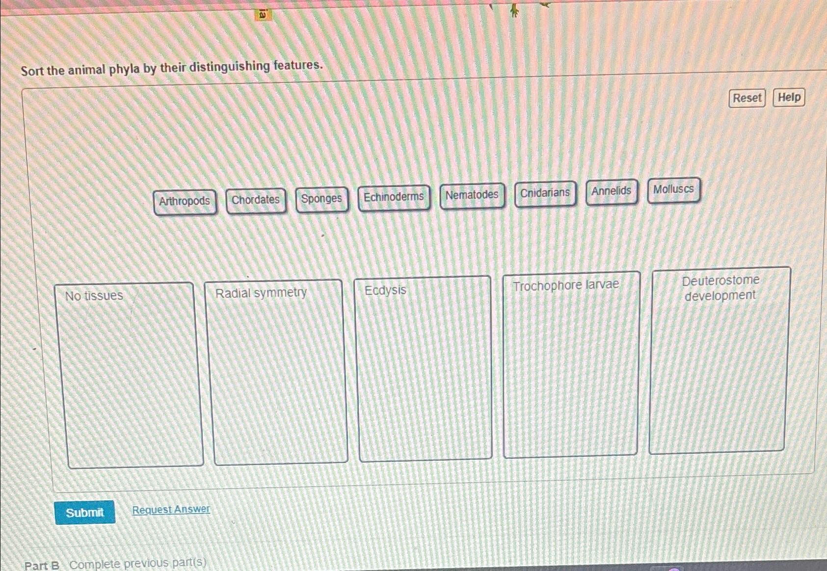 Solved Sort the animal phyla by their distinguishing | Chegg.com