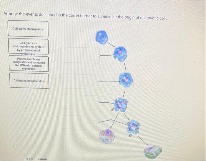 Solved Label the structures of the nrokarvotic cell in the | Chegg.com Solved Label the structures of the nrokarvotic cell in the | Chegg.com