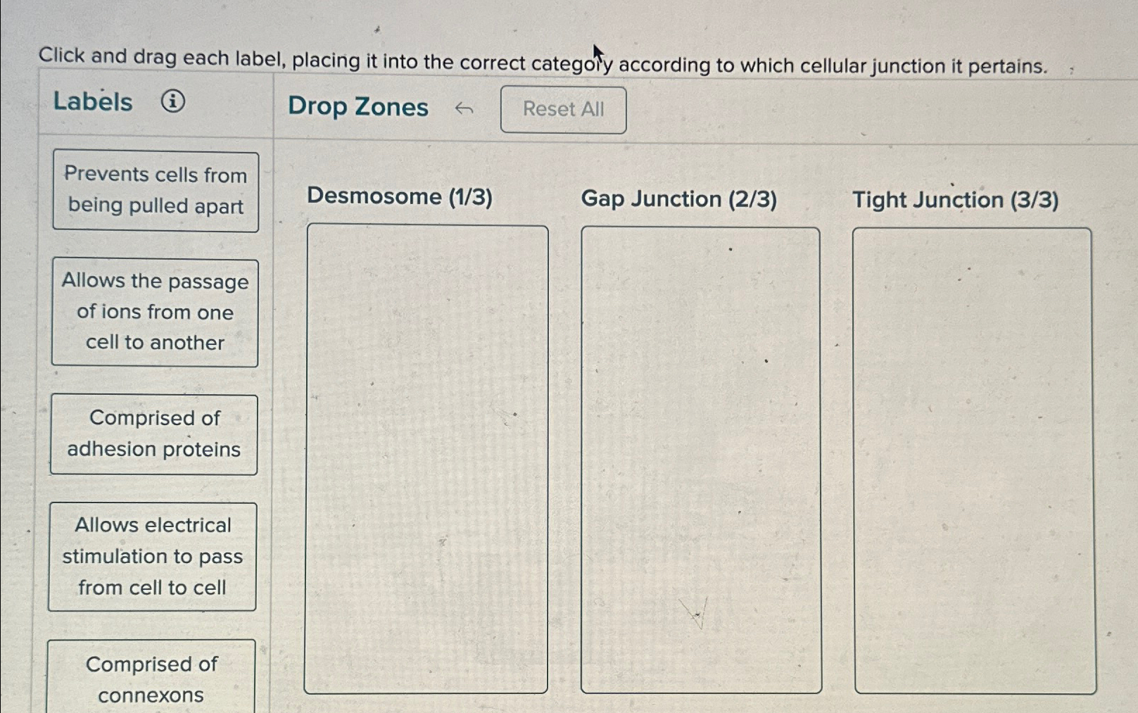 Solved Click and drag each label, placing it into the | Chegg.com