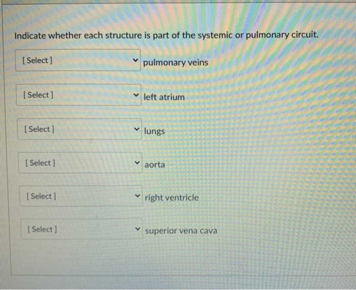 Solved Indicate whether each structure is part of the | Chegg.com