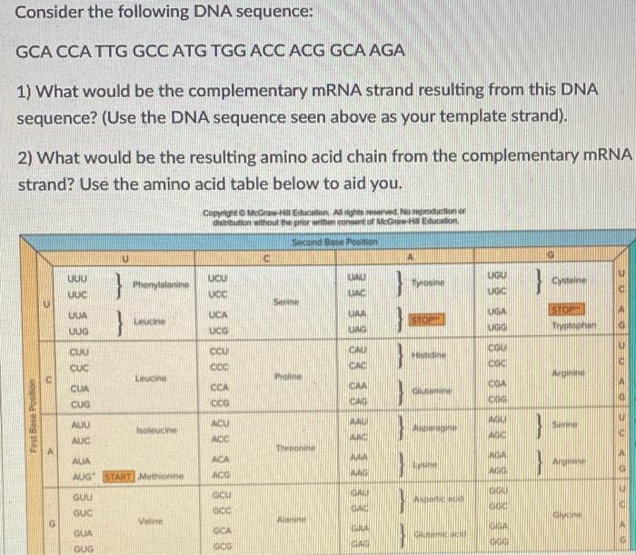Solved Consider the following DNA sequence: GCA CCA TTG GCC | Chegg.com