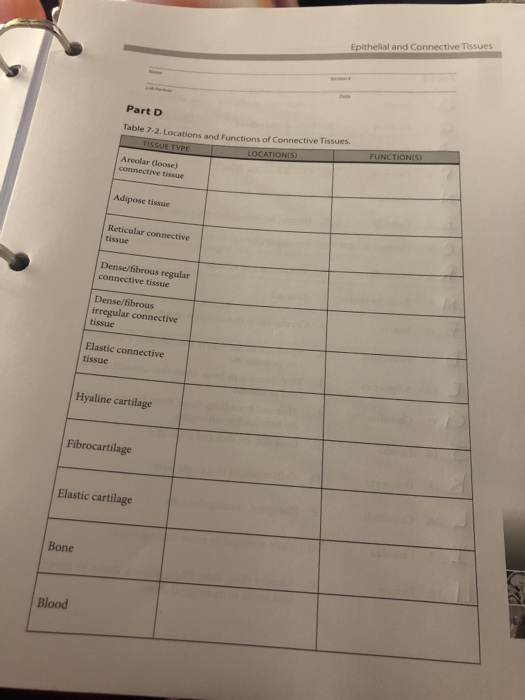 Solved Complete skill checks 1-3. Skill Check 1 wame and | Chegg.com