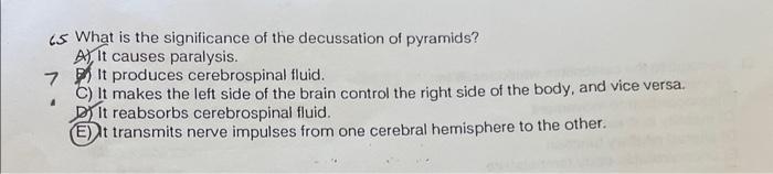 Solved 65. What is the significance of the decussation of | Chegg.com