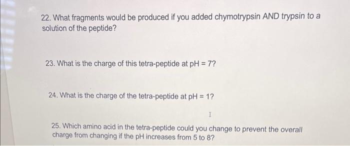 Solved Answer questions 22-25 about the tetra-peptide:22. | Chegg.com