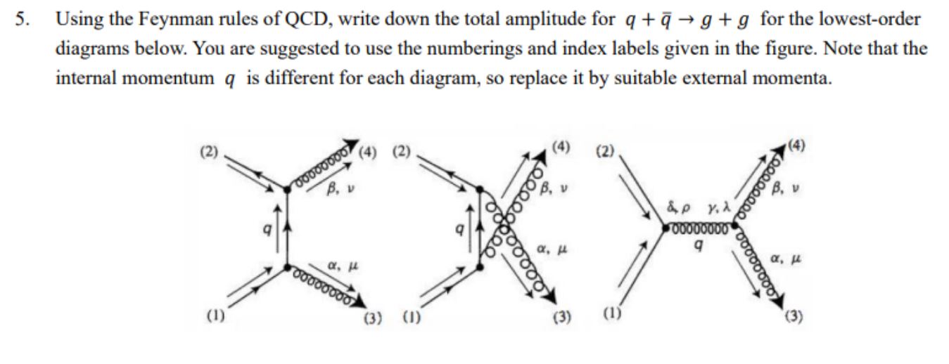 Using the Feynman rules of QCD, ﻿write down the total | Chegg.com
