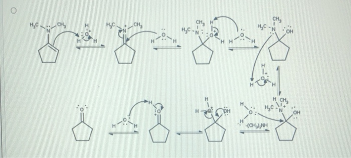 Solved Practice the Skill 19.13adChoose a mechanism of the | Chegg.com