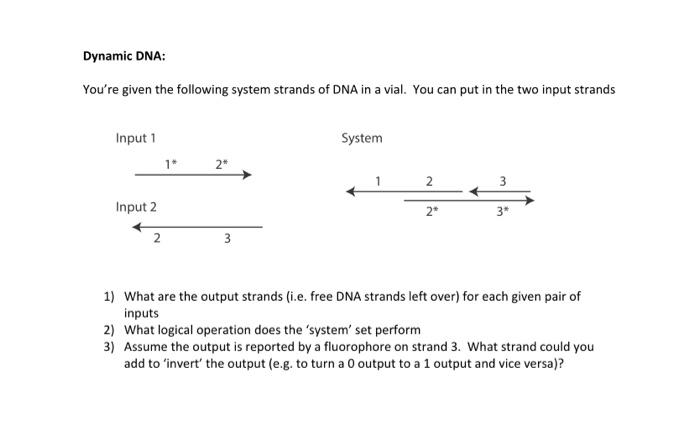 Solved You're given the following system strands of DNA in a | Chegg.com