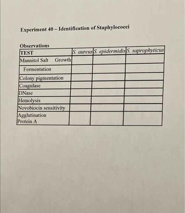 Solved Experiment 40 - Identification of Staphylococci | Chegg.com