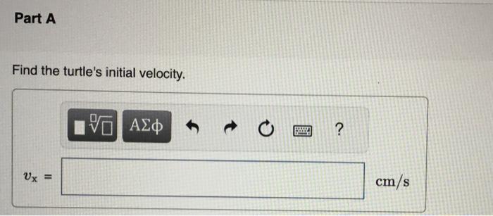 Solved A turtle crawls along a straight line, which we will | Chegg.com