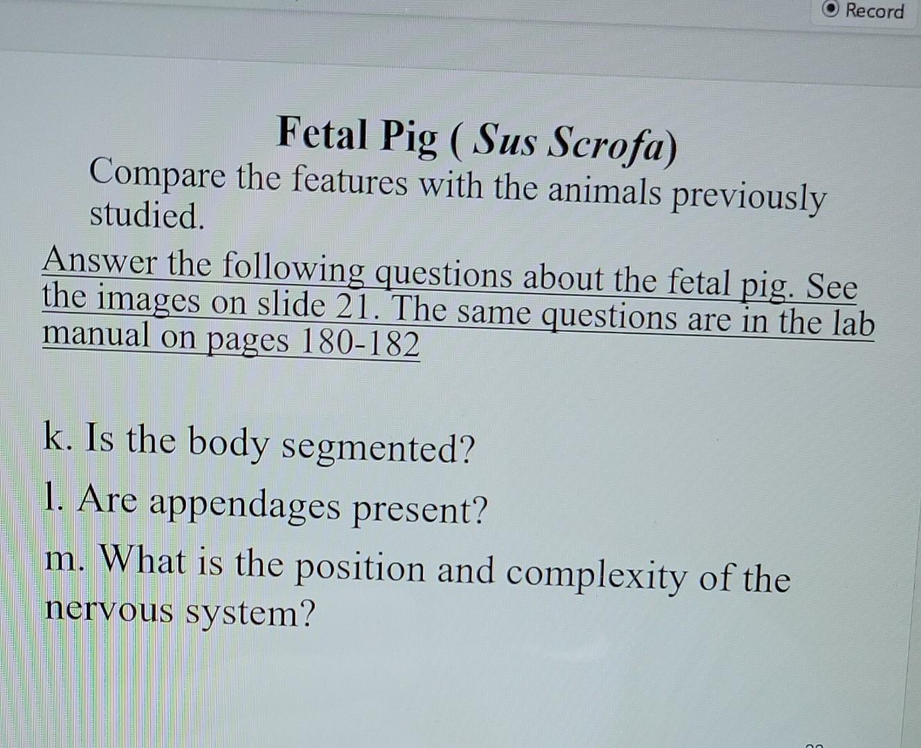 Solved Record Fetal Pig (Sus Scrofa) Compare the features | Chegg.com