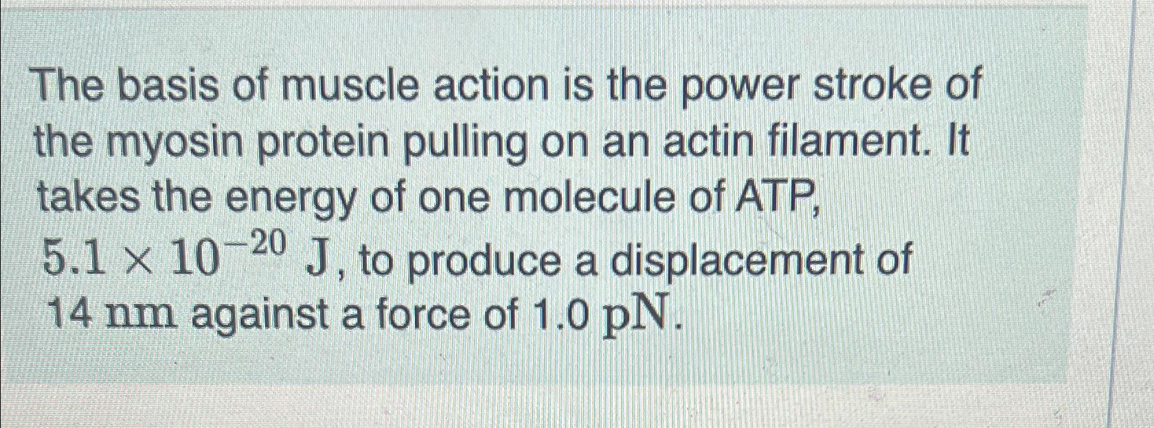 Solved The basis of muscle action is the power stroke of the | Chegg.com
