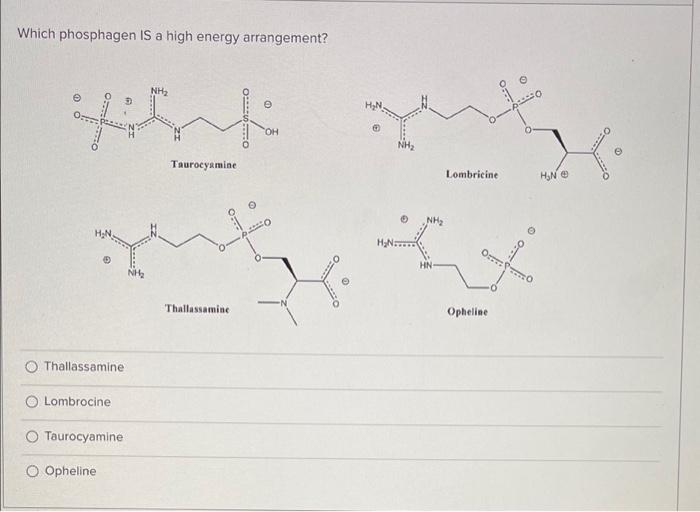 Solved Which phosphagen IS a high energy arrangement? | Chegg.com
