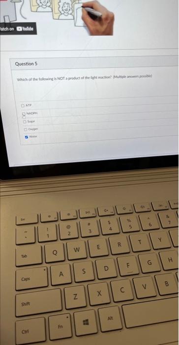 Solved Which of the tollowine is NOT a product of the left | Chegg.com