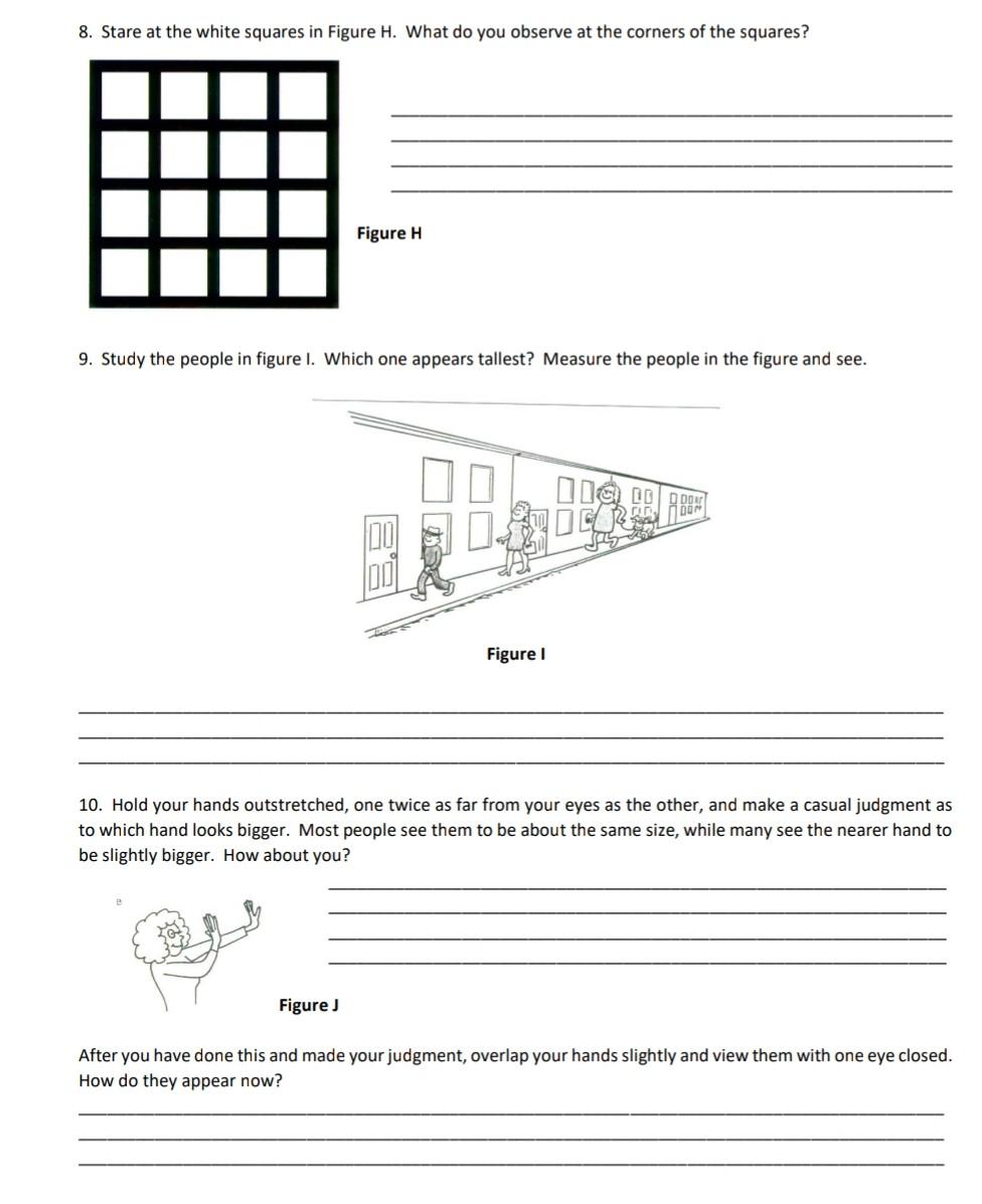 Solved Procedure and Observation Answer first the question | Chegg.com