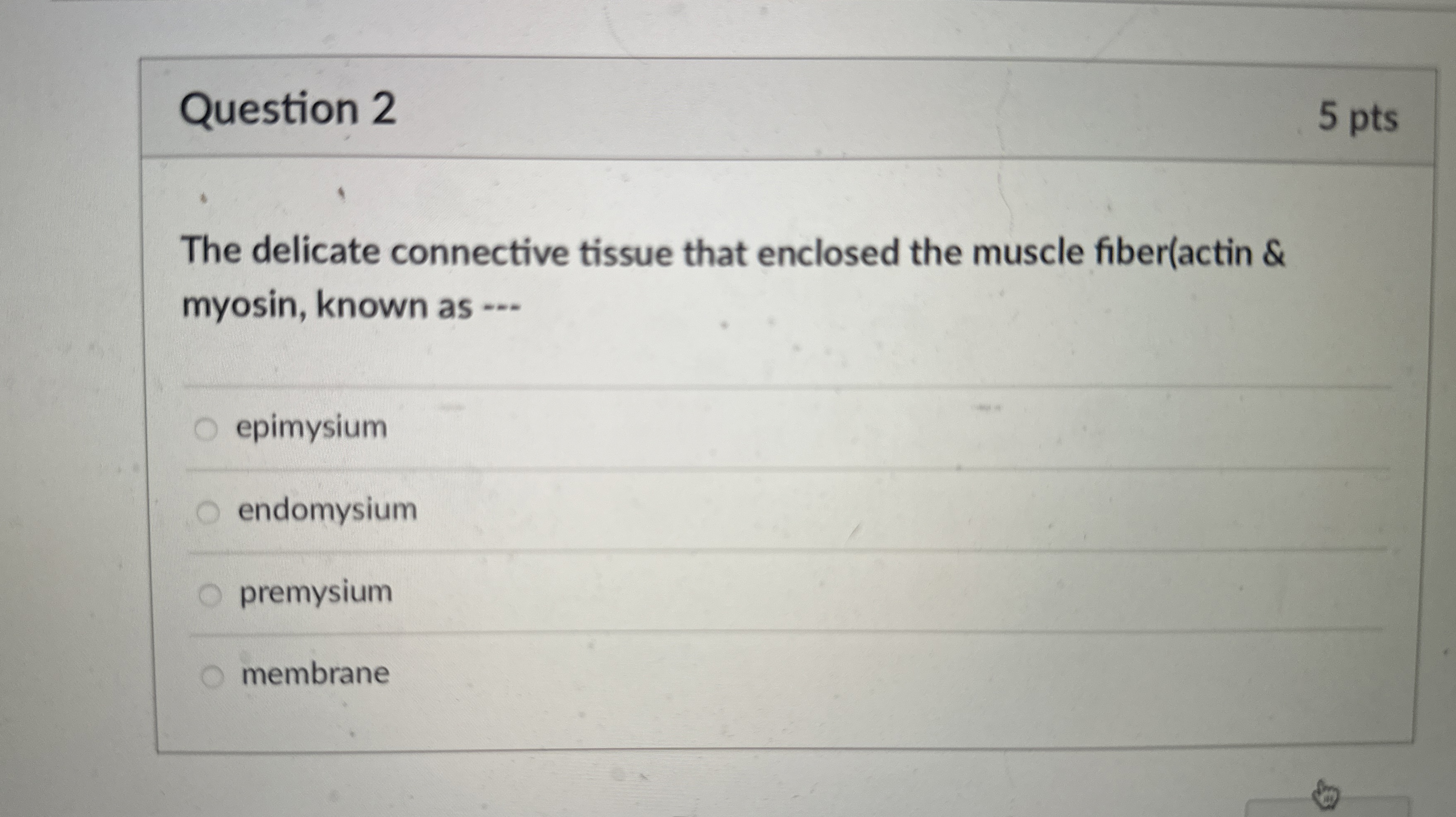 Solved Question 25 ptsThe delicate connective tissue that | Chegg.com Solved Question 25 ptsThe delicate connective tissue that | Chegg.com
