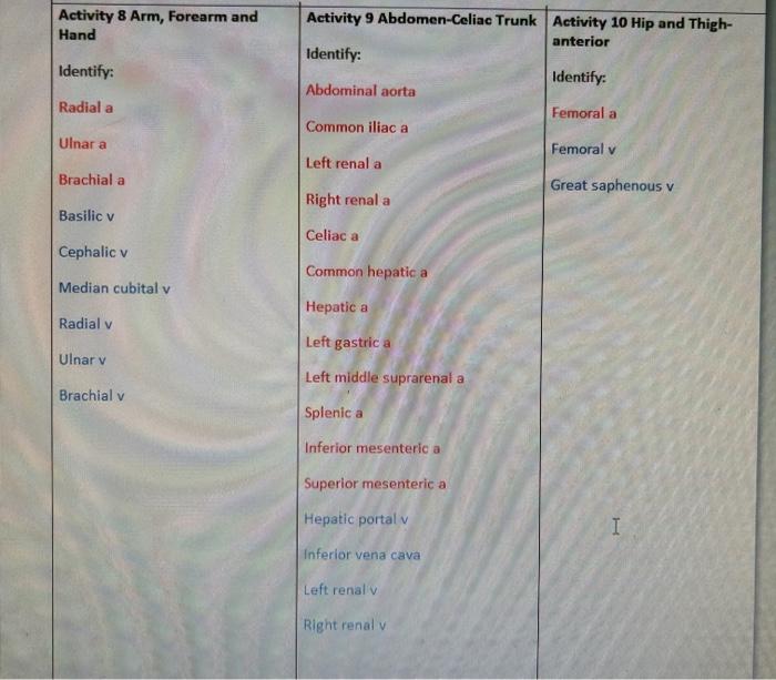 Solved \begin{tabular}{|l|l|} Activity 11 Hip and Thigh- | Chegg.com