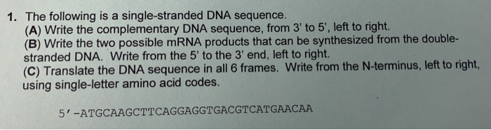 Solved 1. The following is a single-stranded DNA sequence. | Chegg.com