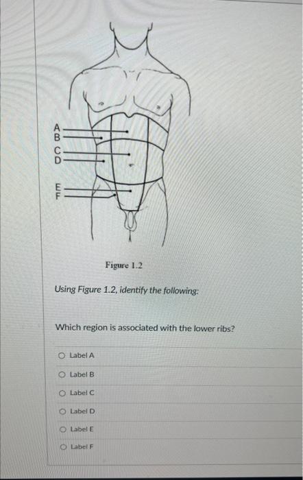 Solved Figure 1.2 Using Figure 1.2, identify the following: | Chegg.com
