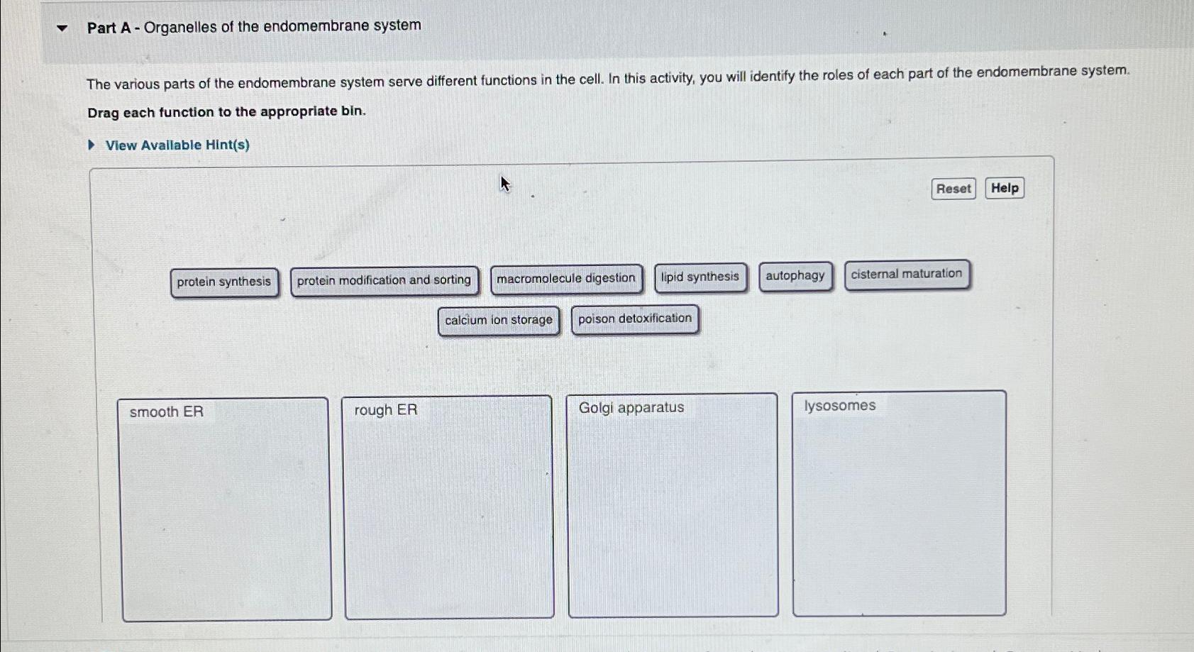 Solved Part A - ﻿Organelles of the endomembrane systemThe | Chegg.com