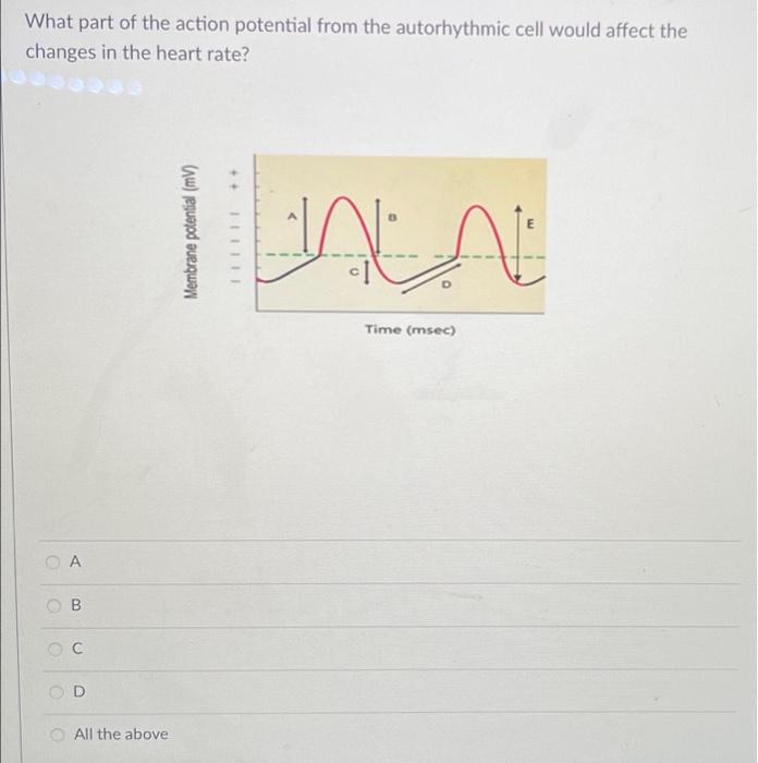 Solved What part of the action potential from the | Chegg.com