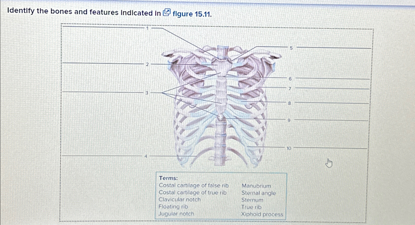Solved Identify the bones and features Indicated in figure | Chegg.com
