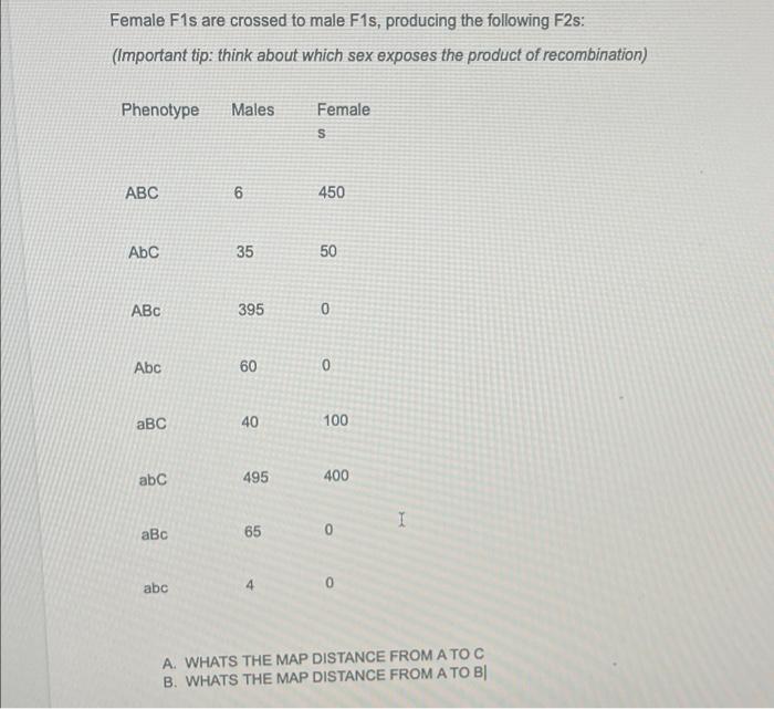 Solved Female F1s are crossed to male F1s, producing the | Chegg.com