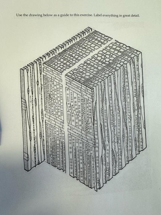 Use the drawing below as a guide to this exercise. | Chegg.com