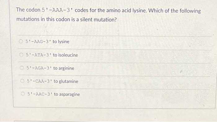 Solved The codon 5′−AAA−3′ codes for the amino acid lysine. | Chegg.com
