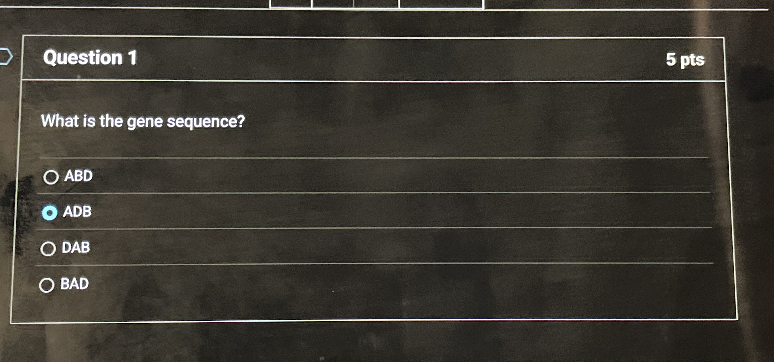 Solved Question 15 ﻿ptsWhat is the gene | Chegg.com