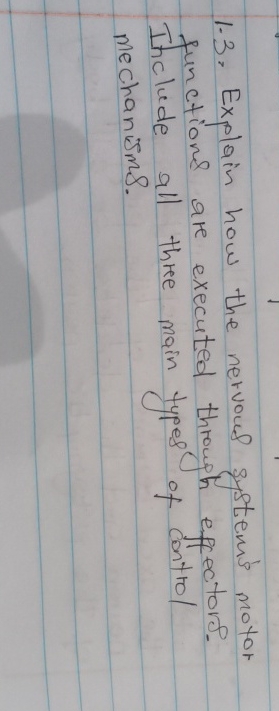 Solved 1.3. ﻿Explain how the nervous system's motor | Chegg.com