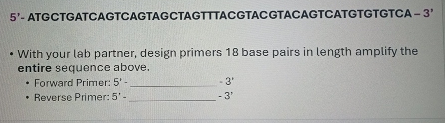 Solved 5'- | Chegg.com