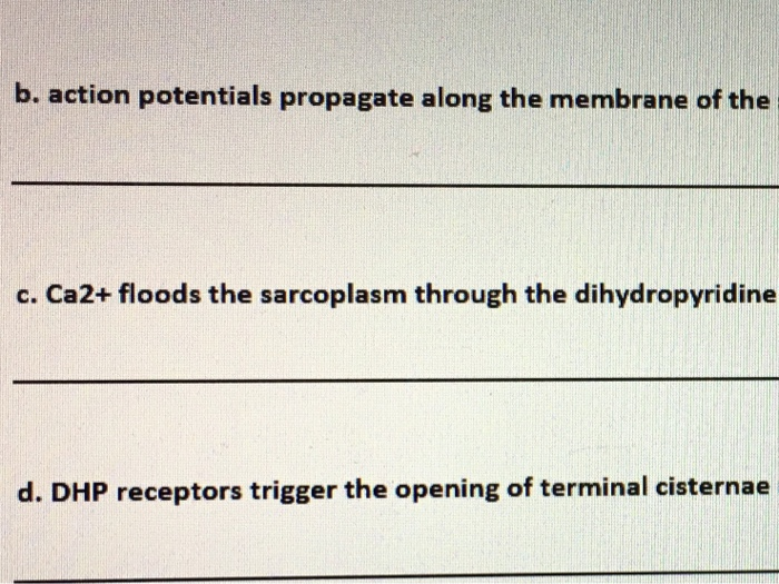 Solved b. action potentials propagate along the membrane of | Chegg.com