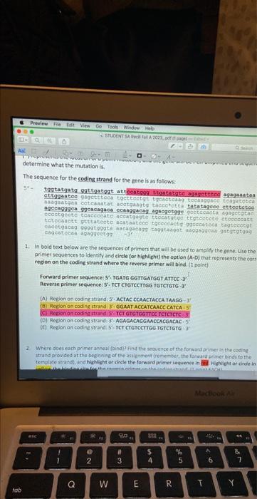 Solved 3. What strands are the forward and reverse primers | Chegg.com