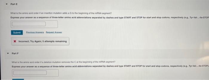 Solved Consider the following segment of mRNA produced by | Chegg.com