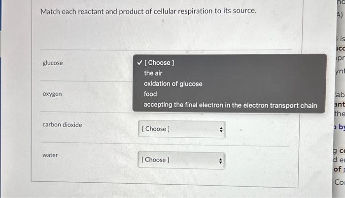 Solved Match each reactant and product of cellular | Chegg.com