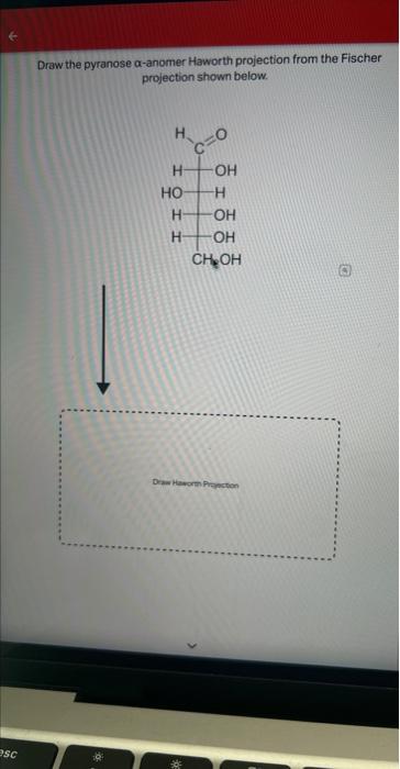 Solved Draw the a-anomer furanose Haworth projection from | Chegg.com
