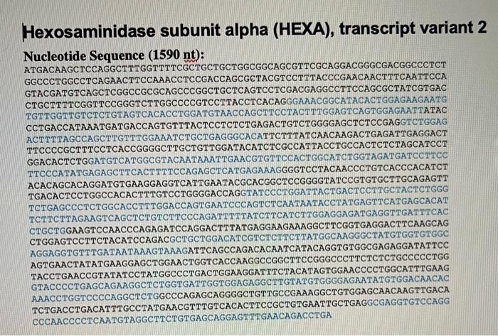 Hexosaminidase subunit alpha (HEXA), transcript | Chegg.com