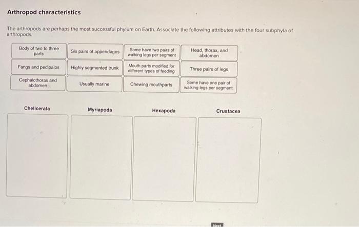 Solved Arthropod characteristics The arthropods are perhaps | Chegg.com